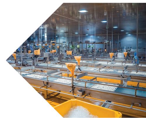 A Remarkable Journey of Humble Beginnings: The Rise of QL Resources ...